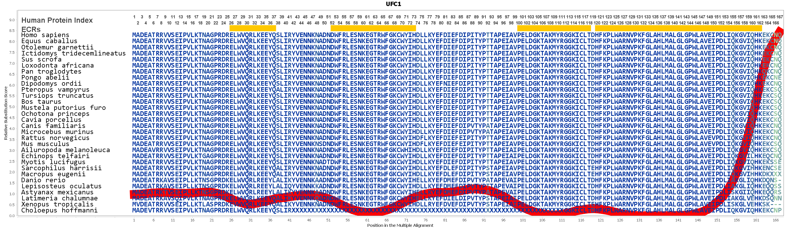 UFC1 Gene - GeneCards | UFC1 Protein | UFC1 Antibody