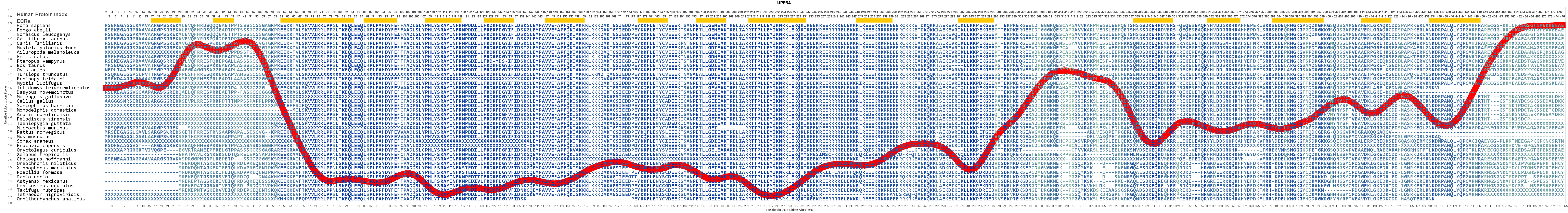 UPF3A Gene - GeneCards | REN3A Protein | REN3A Antibody
