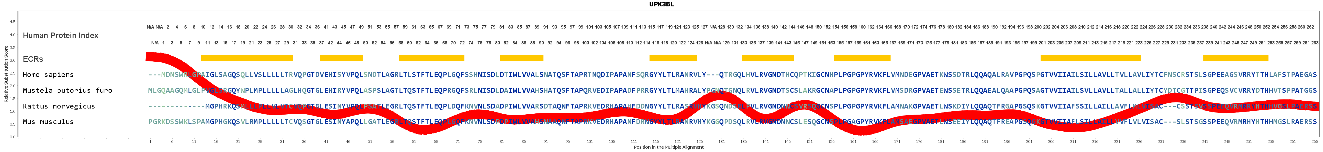 UPK3BL1 Gene - GeneCards | UPK3L Protein | UPK3L Antibody