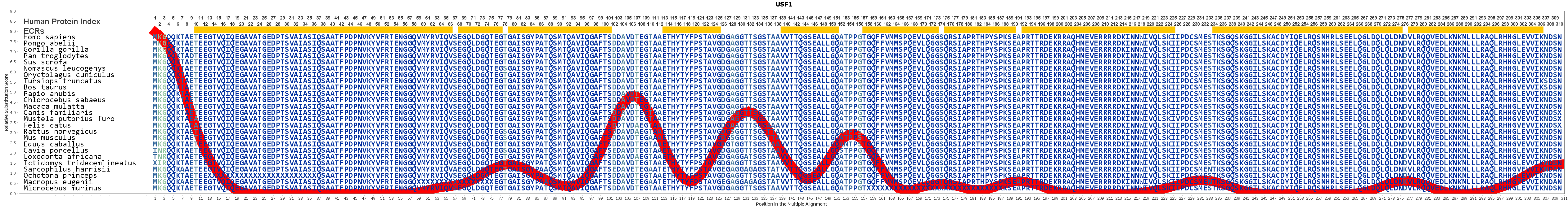 USF1 Gene - GeneCards | USF1 Protein | USF1 Antibody