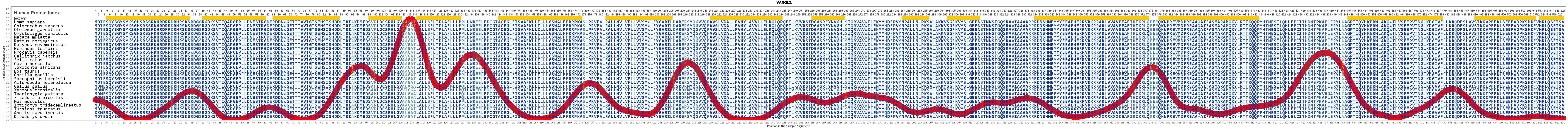 VANGL2 Gene - GeneCards | VANG2 Protein | VANG2 Antibody