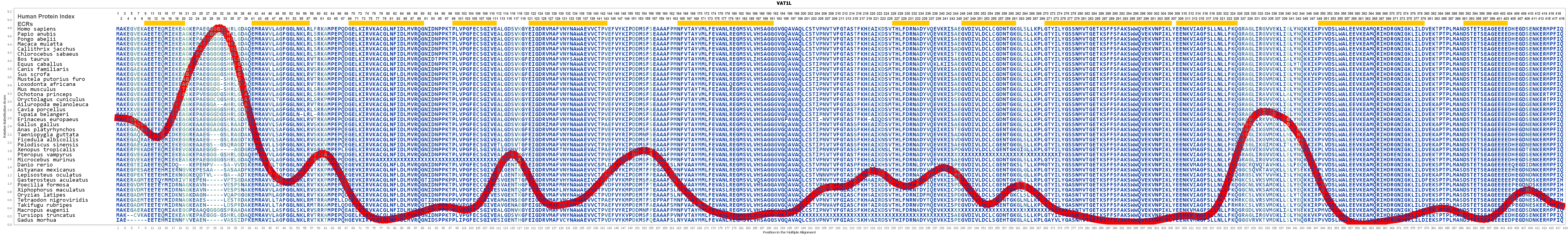 VAT1L Gene - GeneCards | VAT1L Protein | VAT1L Antibody