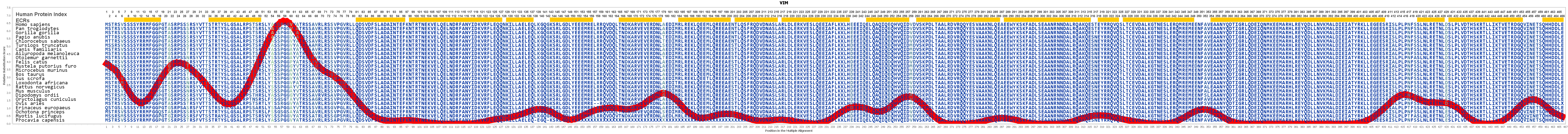 VIM Gene - GeneCards | VIME Protein | VIME Antibody