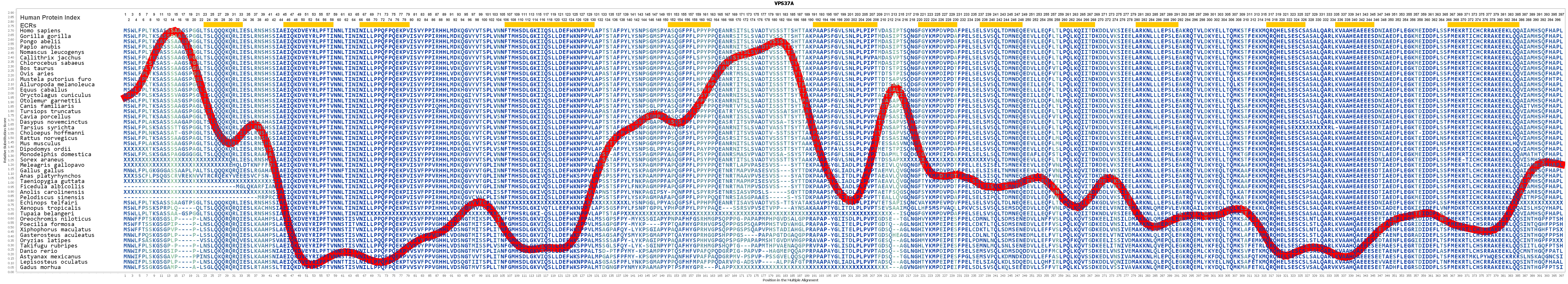 VPS37A Gene - GeneCards | VP37A Protein | VP37A Antibody