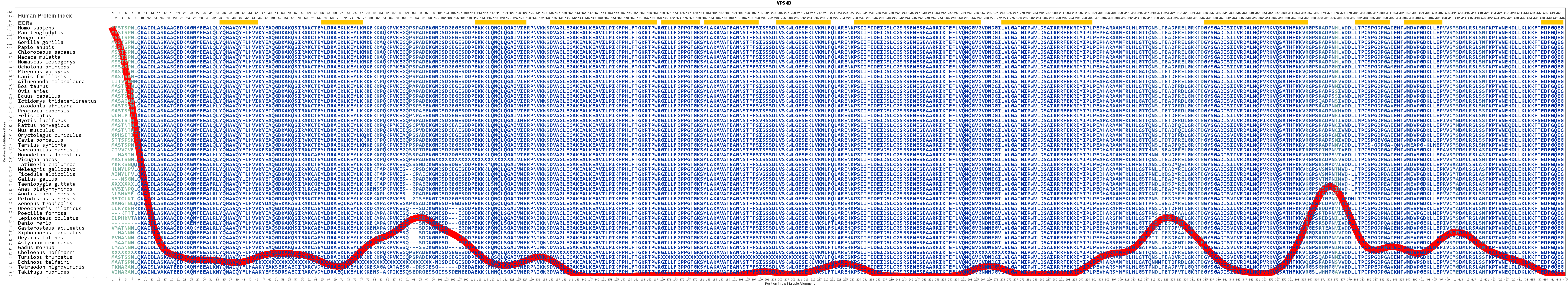 VPS4B Gene - GeneCards | VPS4B Protein | VPS4B Antibody