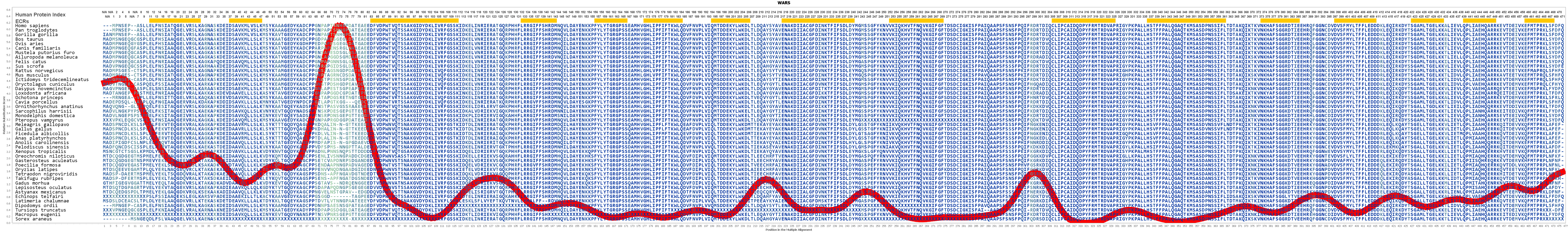 WARS1 Gene - GeneCards | SYWC Protein | SYWC Antibody