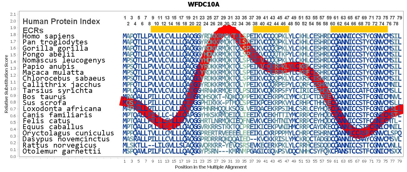WFDC10A Gene - GeneCards | WF10A Protein | WF10A Antibody