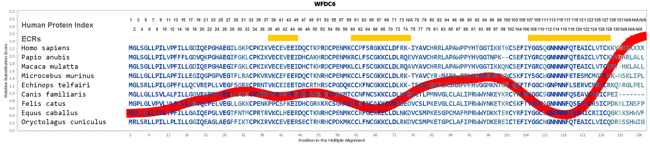 WFDC6 Gene - GeneCards | WFDC6 Protein | WFDC6 Antibody