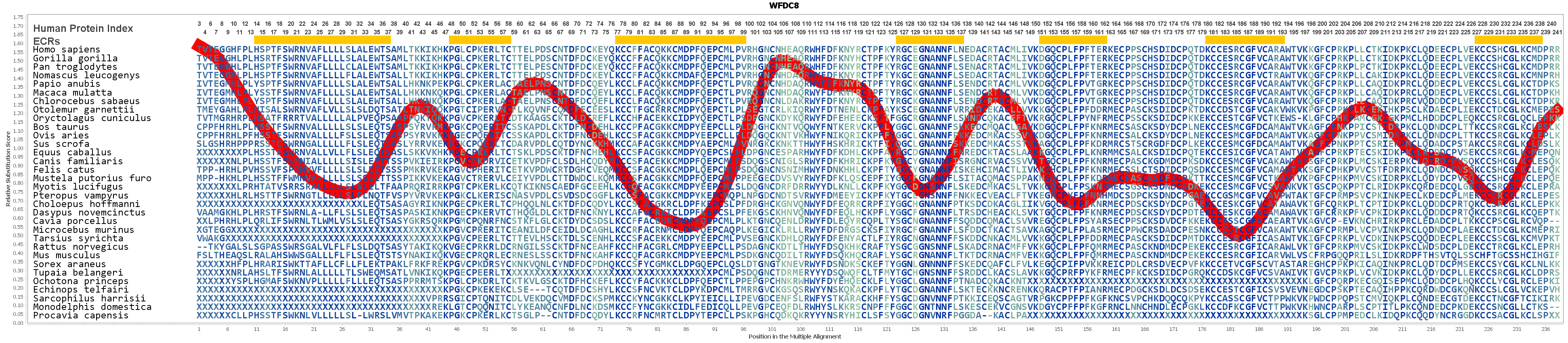 WFDC8 Gene - GeneCards | WFDC8 Protein | WFDC8 Antibody