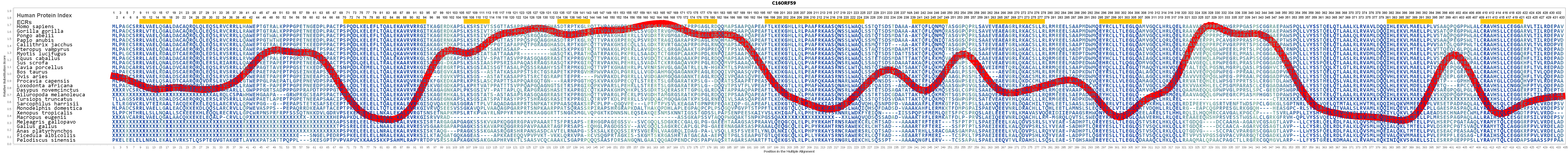 TEDC2 Gene - GeneCards | TEDC2 Protein | TEDC2 Antibody