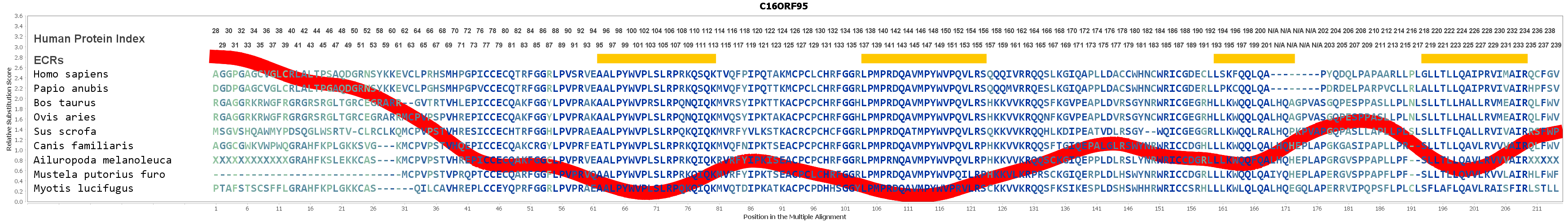 C16orf95 Gene - GeneCards | CP095 Protein | CP095 Antibody