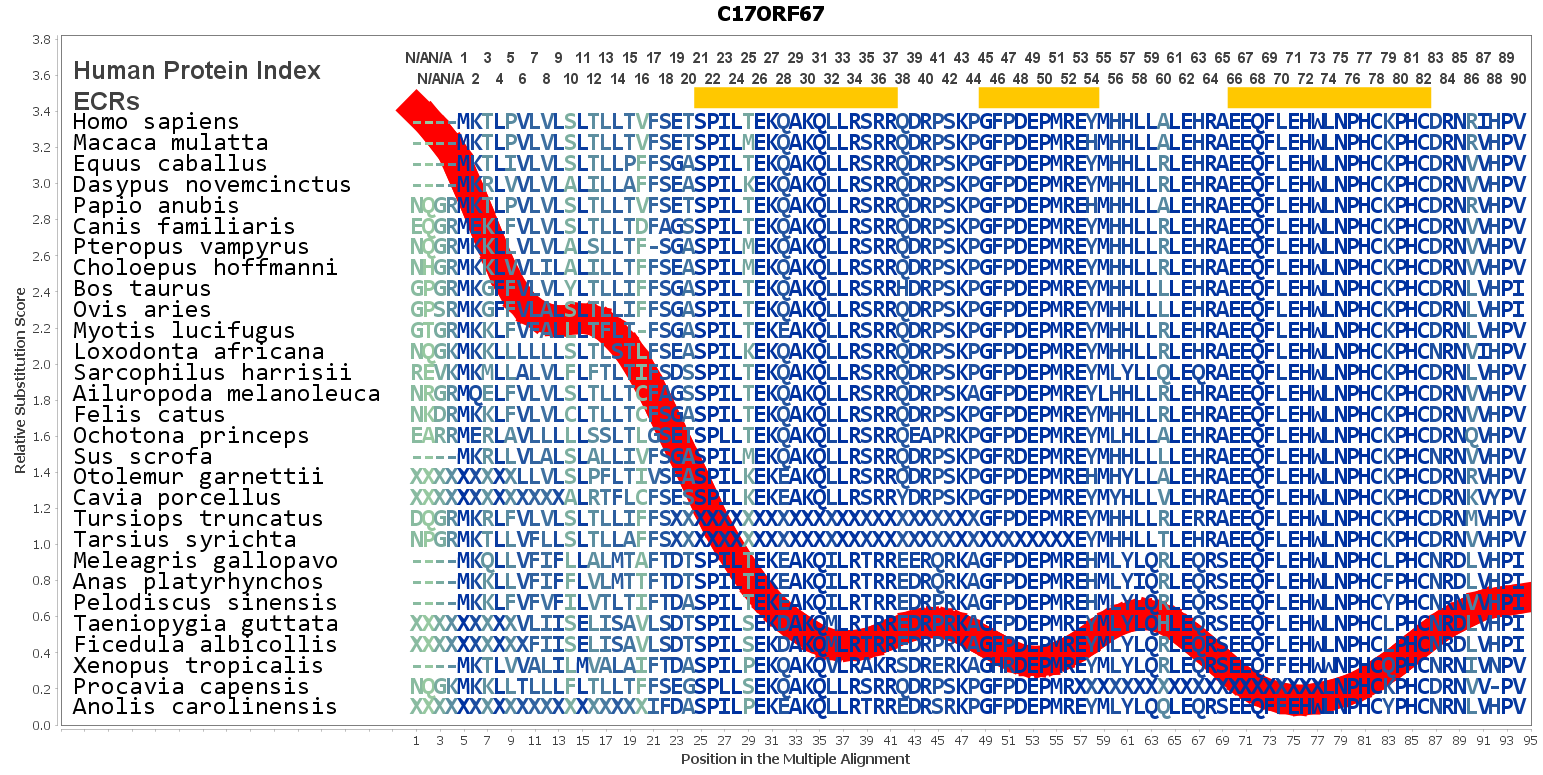 C17orf67 Gene - GeneCards | CQ067 Protein | CQ067 Antibody