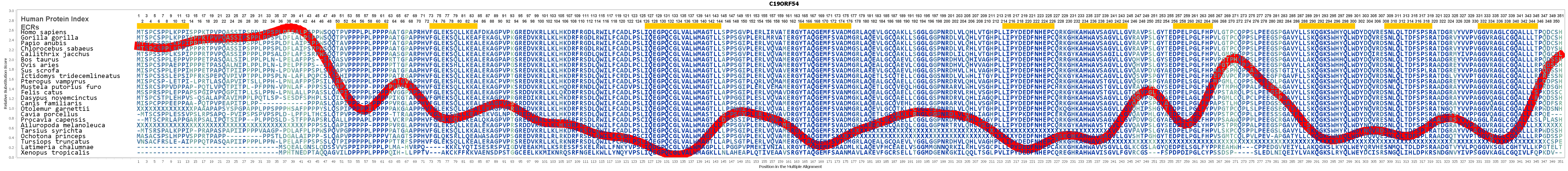 ACTMAP Gene - GeneCards | ACTMP Protein | ACTMP Antibody