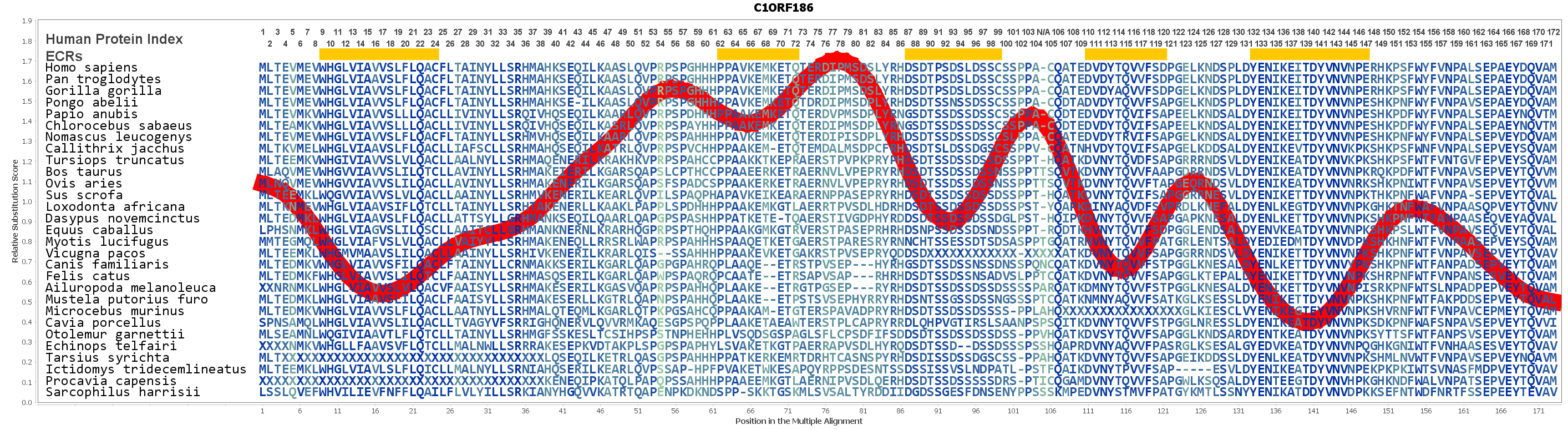 RHEX Gene - GeneCards | RHEX Protein | RHEX Antibody