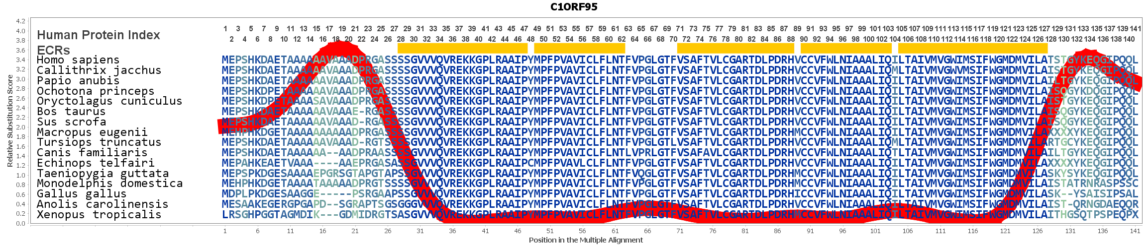 STUM Gene - GeneCards | STUM Protein | STUM Antibody