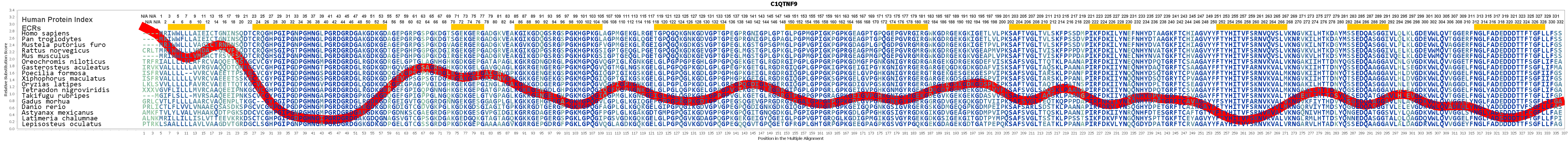 C1QTNF9 Gene - GeneCards | C1T9A Protein | C1T9A Antibody