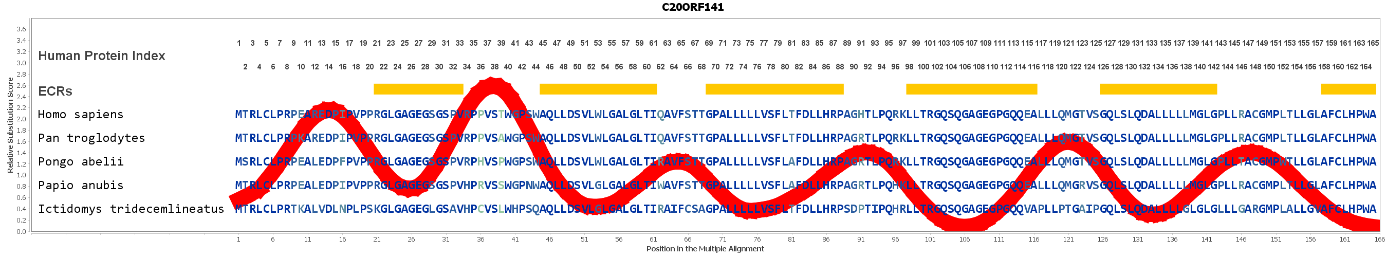 C20orf141 Gene - GeneCards | CT141 Protein | CT141 Antibody