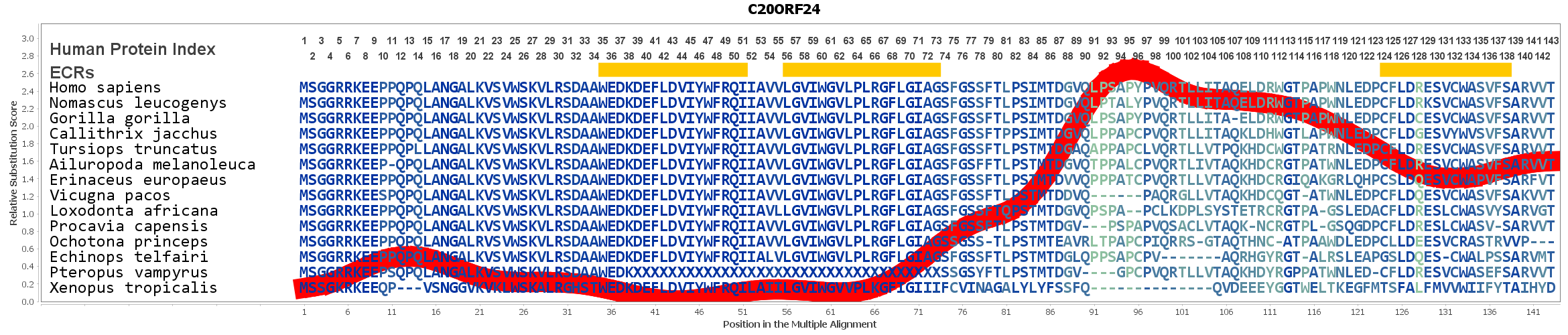 RAB5IF Gene - GeneCards | RCAF1 Protein | RCAF1 Antibody