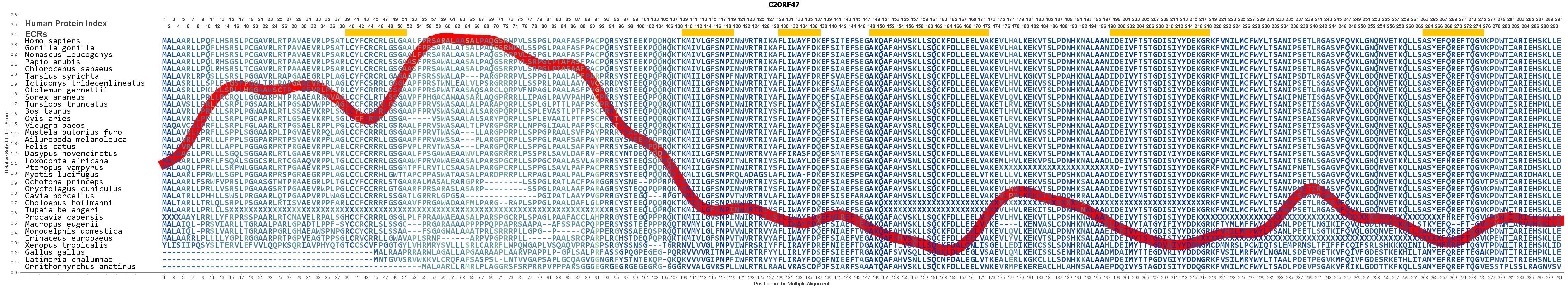 MAIP1 Gene - GeneCards | MAIP1 Protein | MAIP1 Antibody