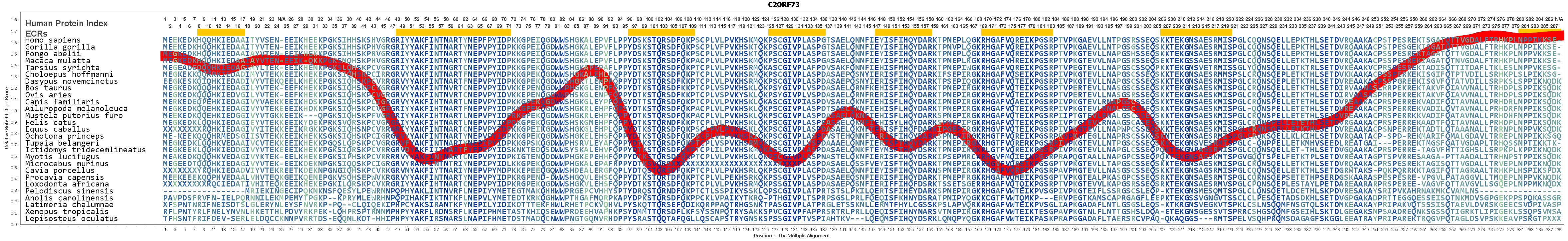 CIMIP6 Gene - GeneCards | CMIP6 Protein | CMIP6 Antibody