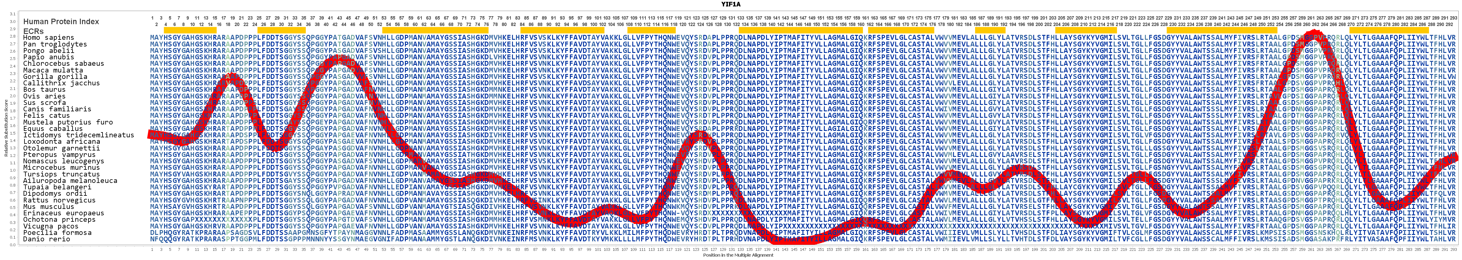 YIF1A Gene - GeneCards | YIF1A Protein | YIF1A Antibody