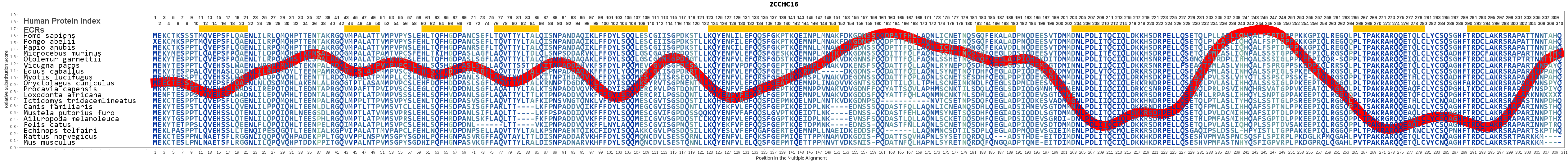 RTL4 Gene - GeneCards | RTL4 Protein | RTL4 Antibody