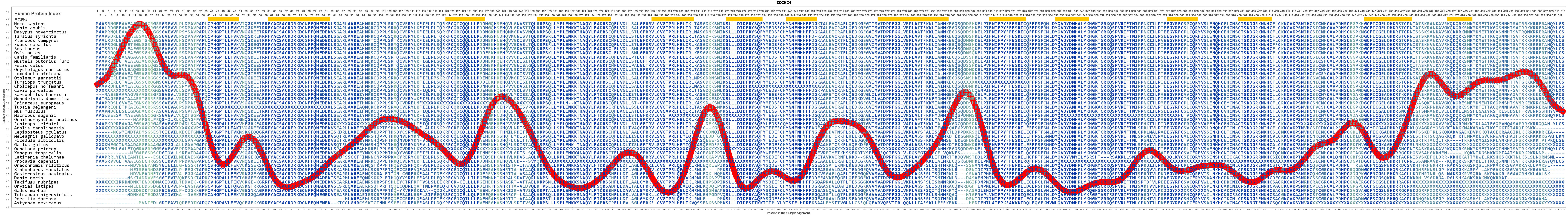 ZCCHC4 Gene - GeneCards | ZCHC4 Protein | ZCHC4 Antibody