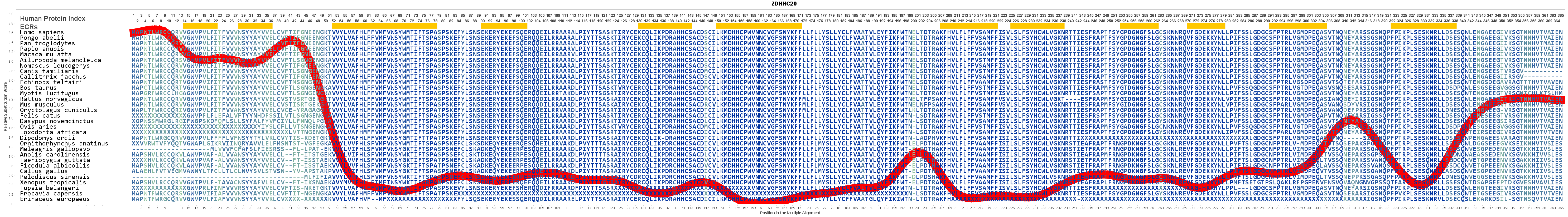 ZDHHC20 Gene - GeneCards | ZDH20 Protein | ZDH20 Antibody