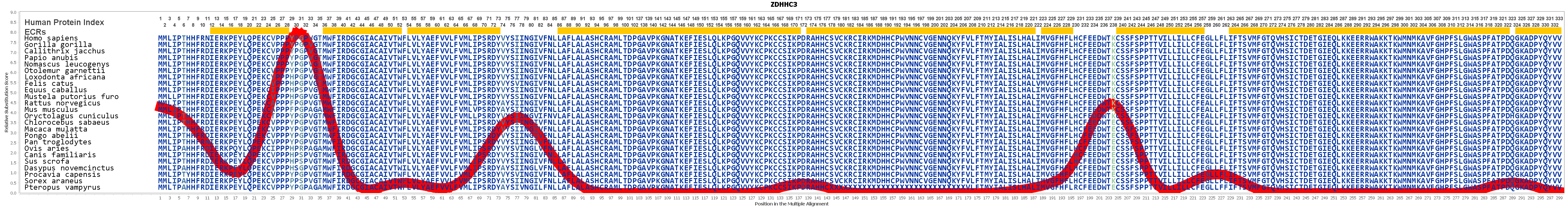 ZDHHC3 Gene - GeneCards | ZDHC3 Protein | ZDHC3 Antibody