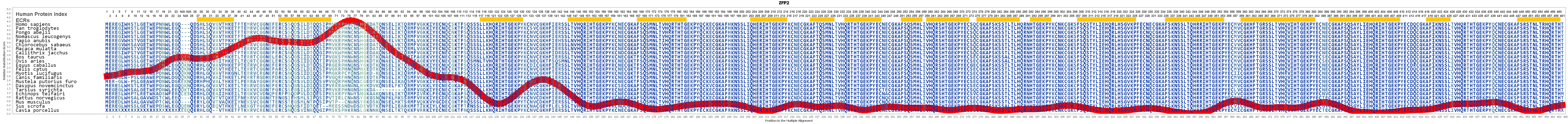 ZFP2 Gene - GeneCards | ZFP2 Protein | ZFP2 Antibody
