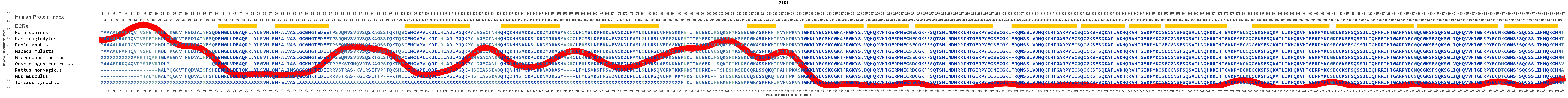 ZIK1 Gene - GeneCards | ZIK1 Protein | ZIK1 Antibody