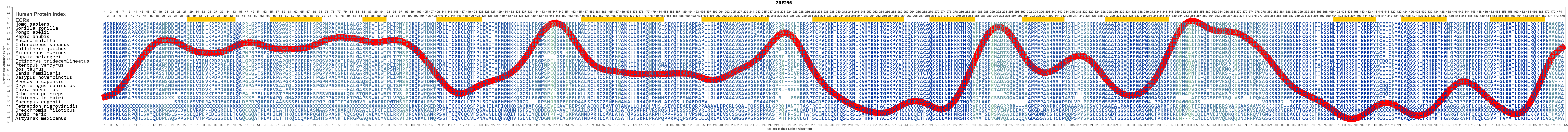 ZNF296 Gene - GeneCards | ZN296 Protein | ZN296 Antibody