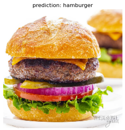 GitHub - aryanrangapur/Food-Classification-Project: Created a Convolutional Neural Network (CNN ...